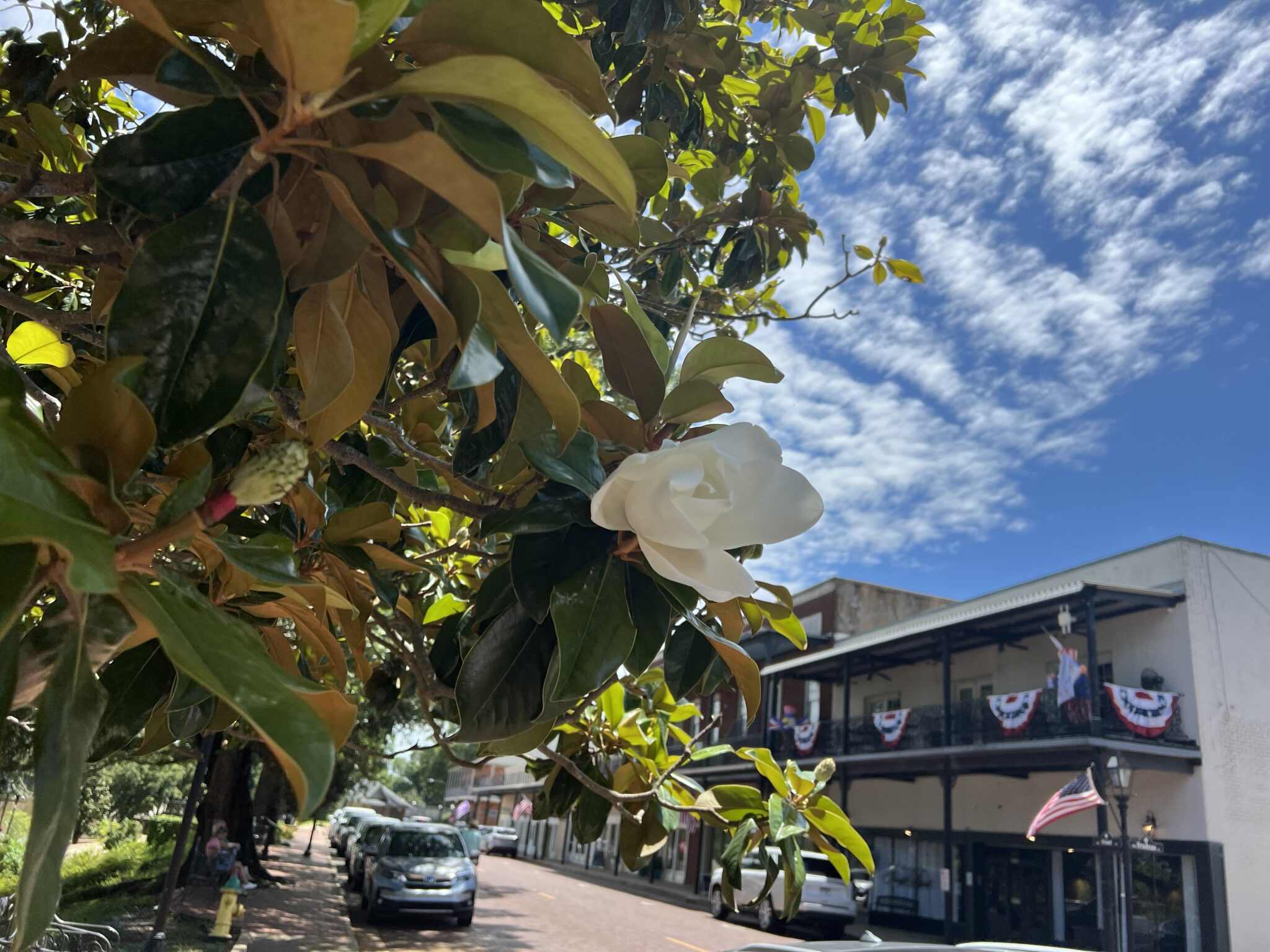 Simply Charming Southern Summer Style